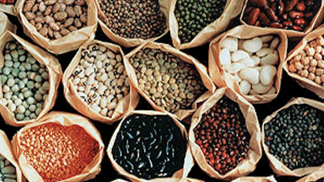 Mission for Aatmanirbharta in Pulses | Vikaspedia - Schemes